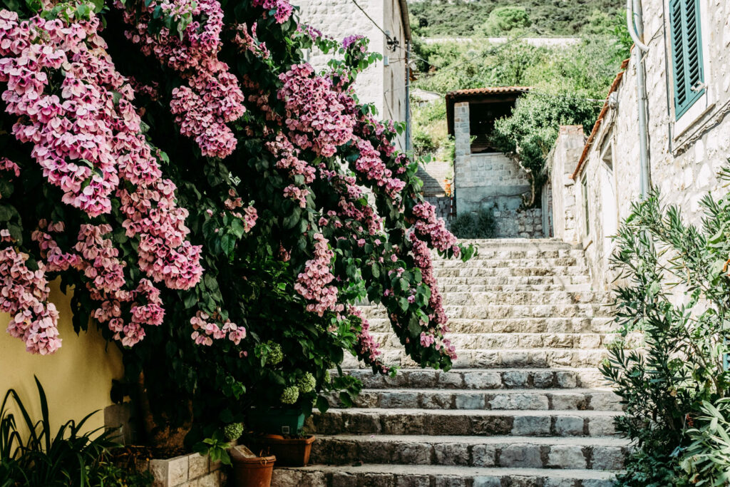 Travel Photographer | Croatia